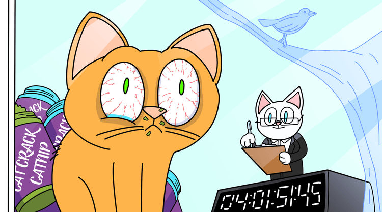 101 Ways to Use Catnip – Cat Crack Catnip