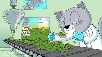 What is Cat Crack? Interview With a Catnip Connoisseur – Cat Crack Catnip