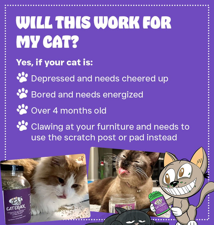 Cat Crack Catnip, Zoomie-Inducing Cat Nip Blend