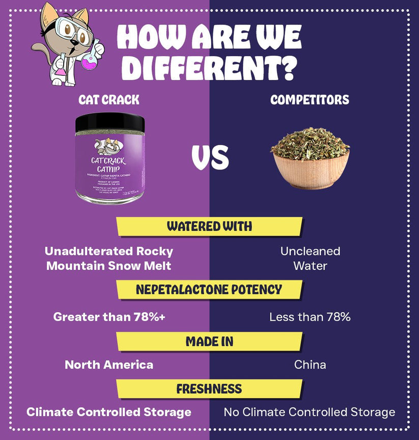 Cat Crack Catnip, Zoomie-Inducing Cat Nip Blend