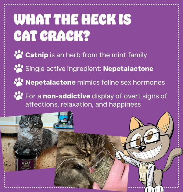 Cat Crack Organic Catnip, 100% Natural Organics Cat Nips Blend – Cat ...